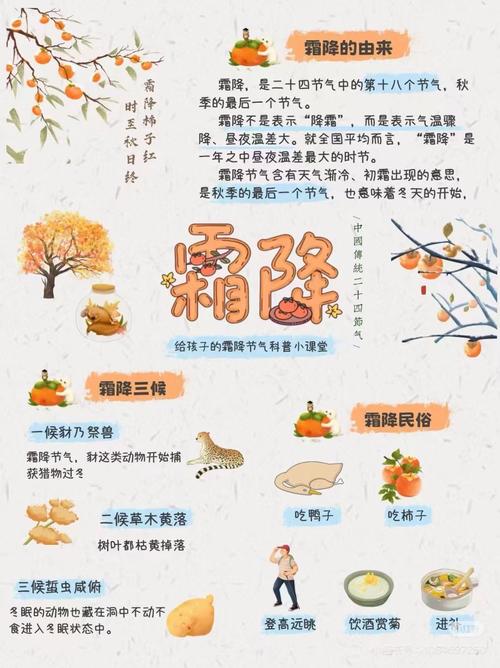 霜降简介视频动画红包正版