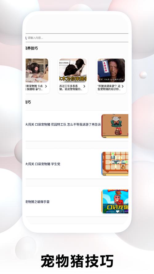 口袋app官方正版