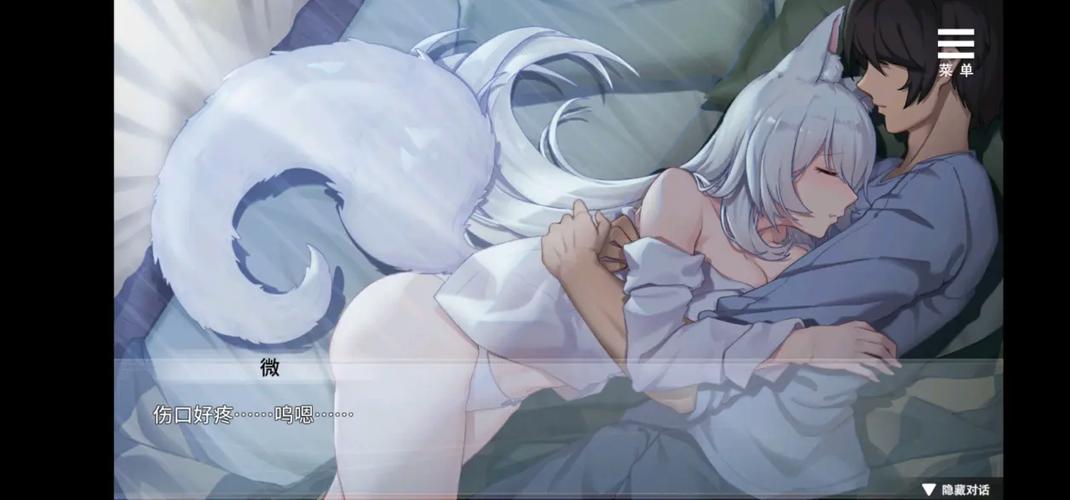 与狐妖的同居生活冷狐完整版下载光环加速版