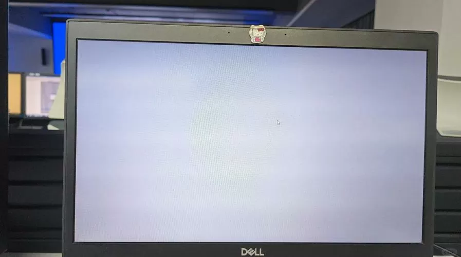 显示器一直白屏是怎么回事