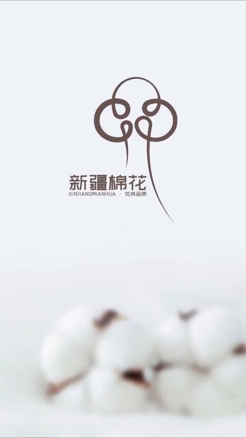 棉花期货网图标