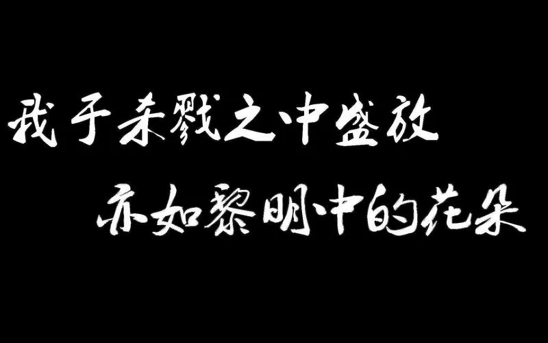 于杀戮之中绽放亦如黎明中的花朵截图