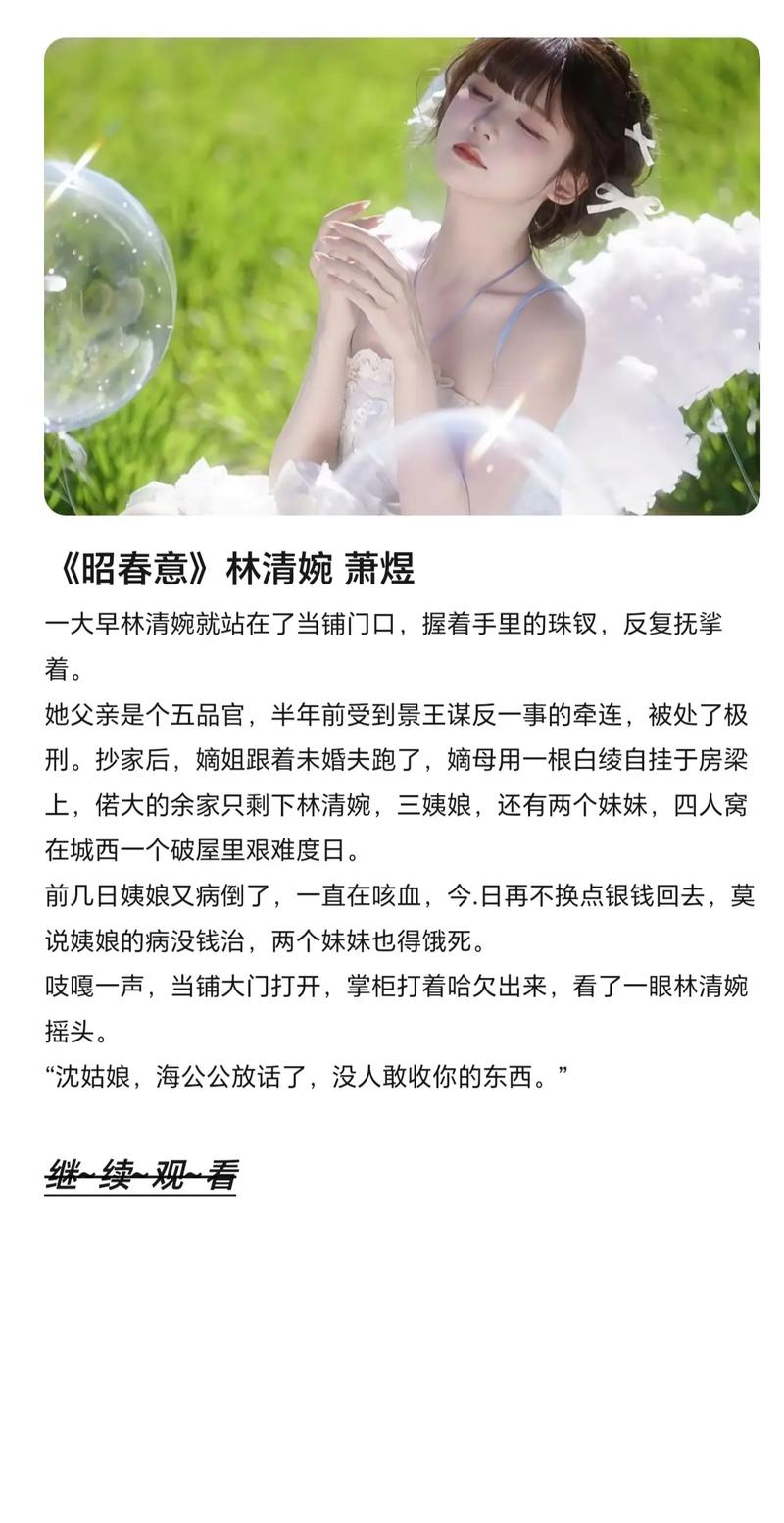 我的冷艳高官林婉清小说TXT图标