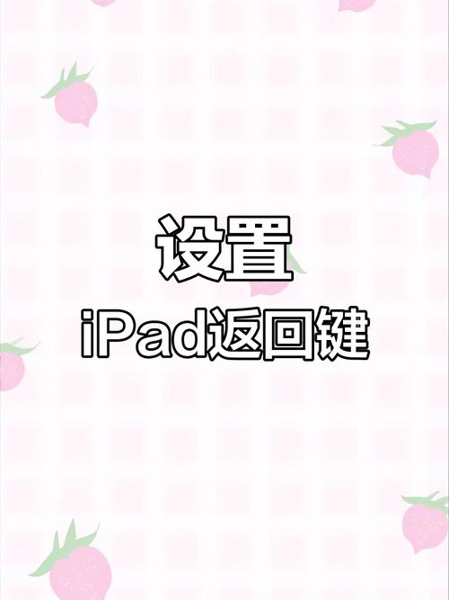 ipad设置返回键截图