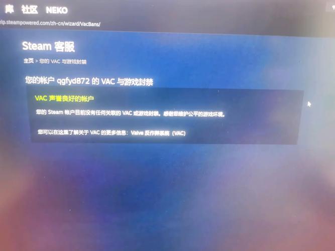 steam黑卡cdk会封号吗图标