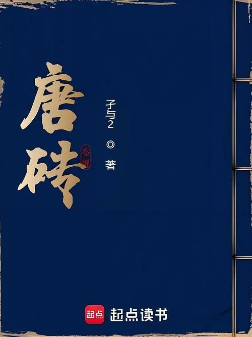 唐砖小说图标