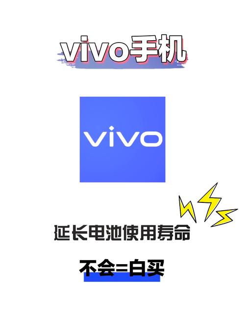 vivo电池健康检测软件图标
