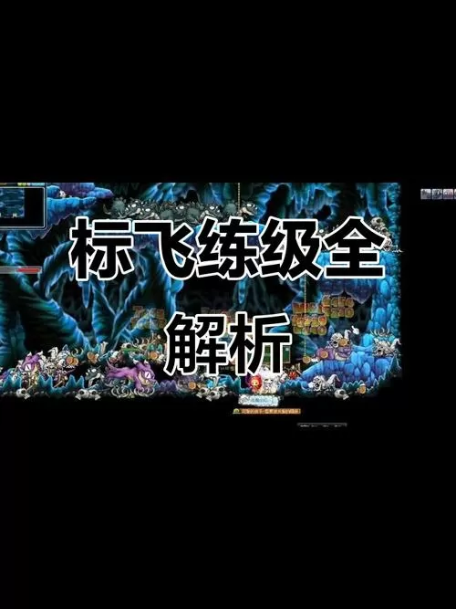 冒险岛飞侠加点攻略截图