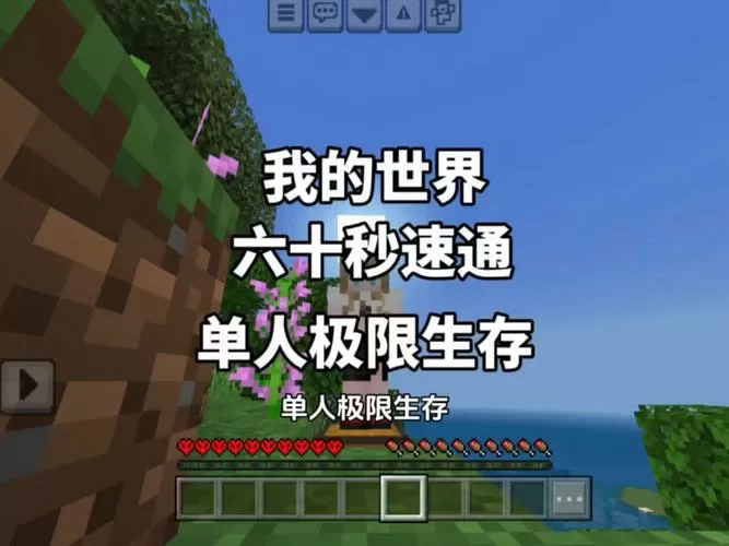 单人原版生存一口气看完图标