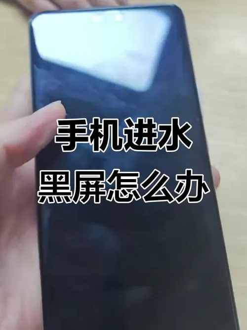 手机掉水里屏幕变黑了怎么办图标