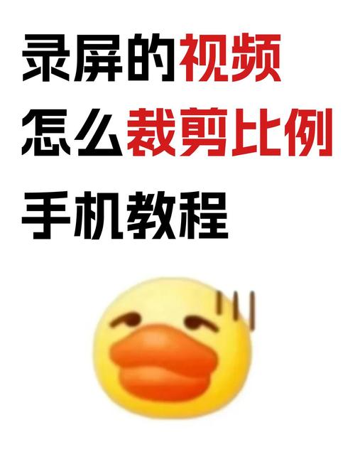 录屏如何剪掉上下部分