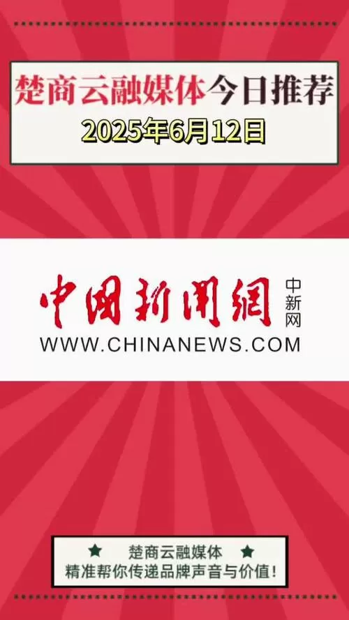 视点中国新闻网图标