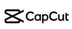 capcut游戏截图
