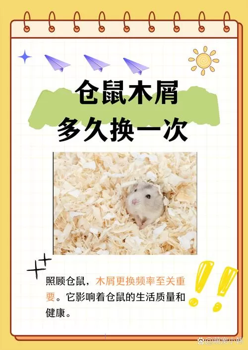仓鼠几天换一次木屑截图