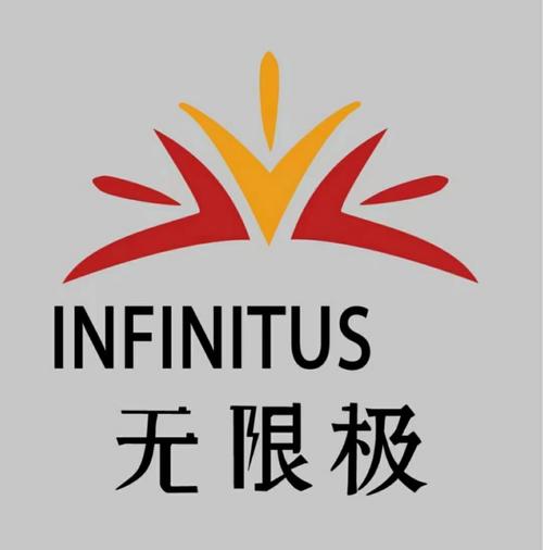 无极限中国有限公司截图