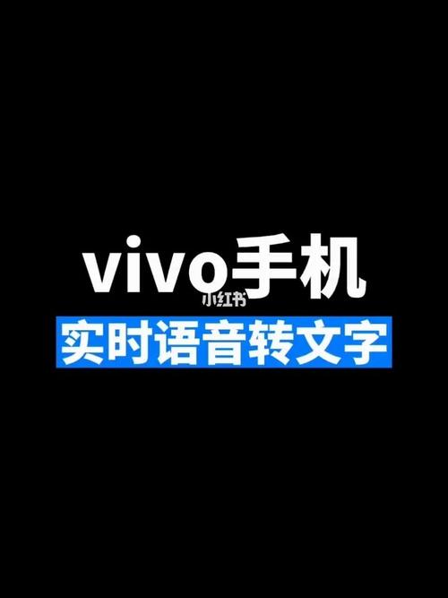 vivo手机录音可以转文字吗