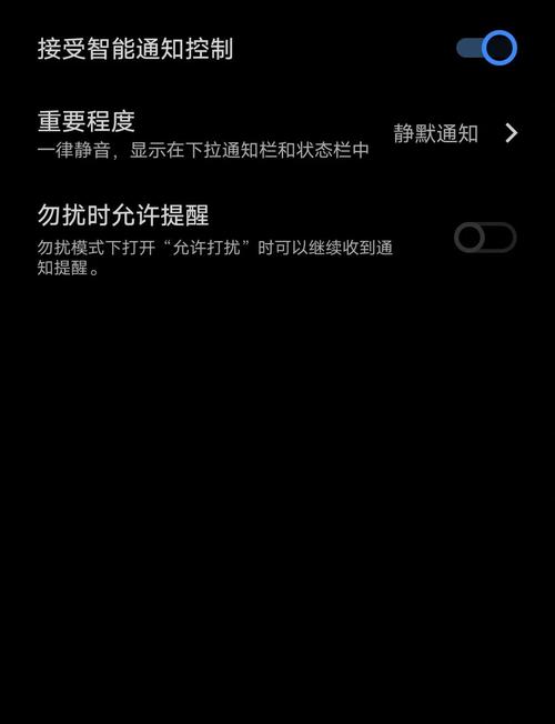 vivo手机勿扰权限在哪里截图