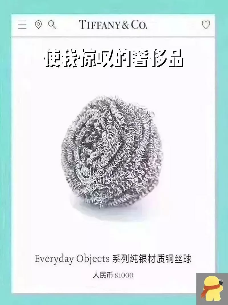 富婆钢丝球的用法截图