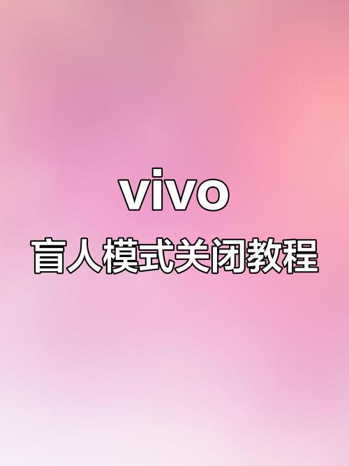 vivo盲人模式怎么开启图标
