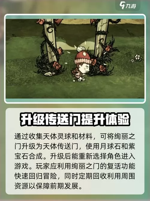 饥荒绚丽的大门门代码图标