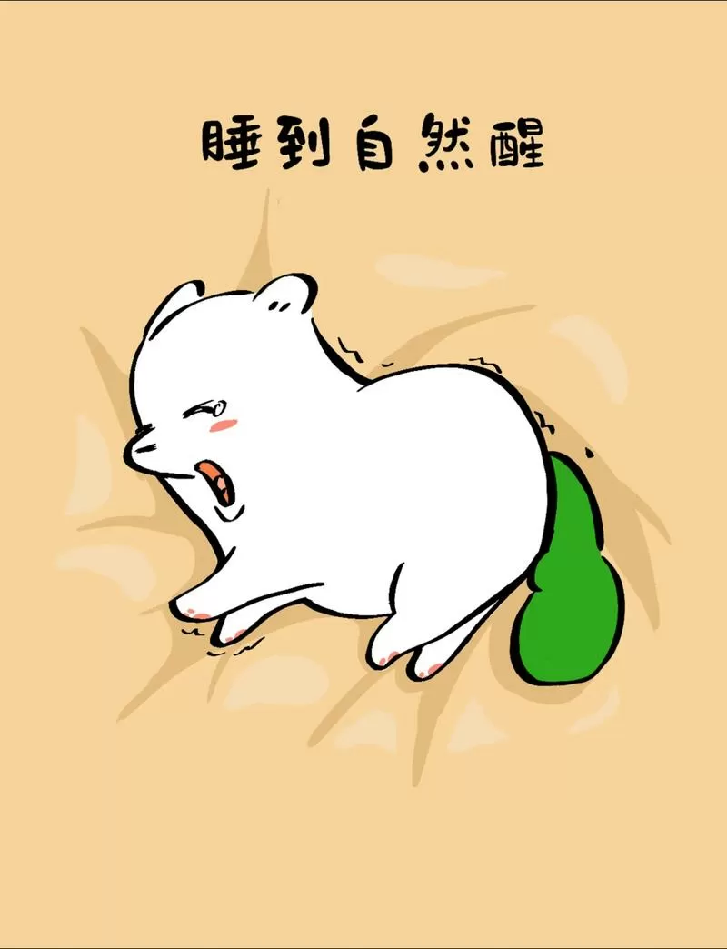 只能睡五个小时 就自然醒了截图