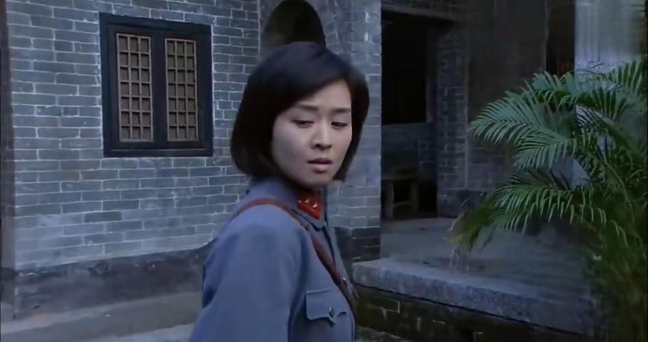 菊花电视tv
