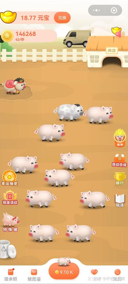 一起来养猪赚钱