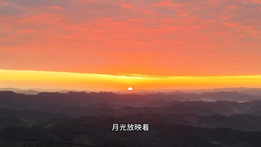 日初视频