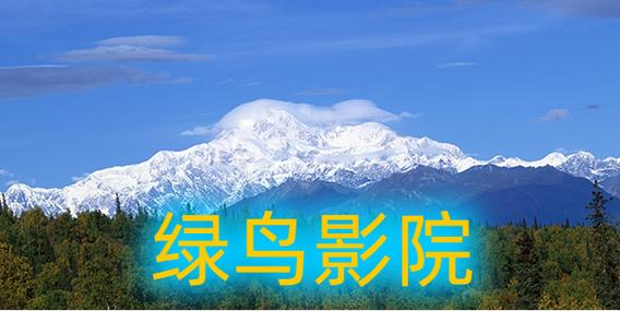 绿鸟影院图标