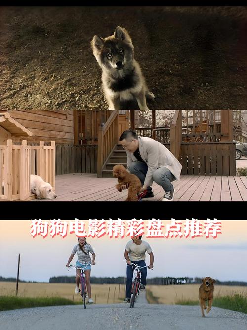 萌狗影视
