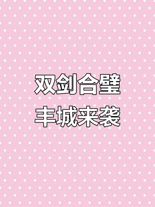 丰城同城游双剑图标