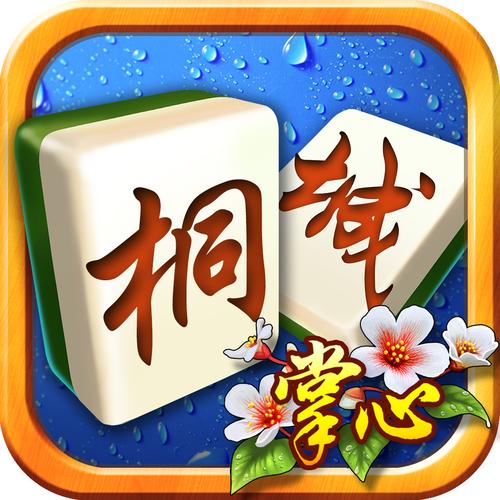 桐城麻将截图