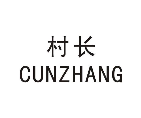 共享村长