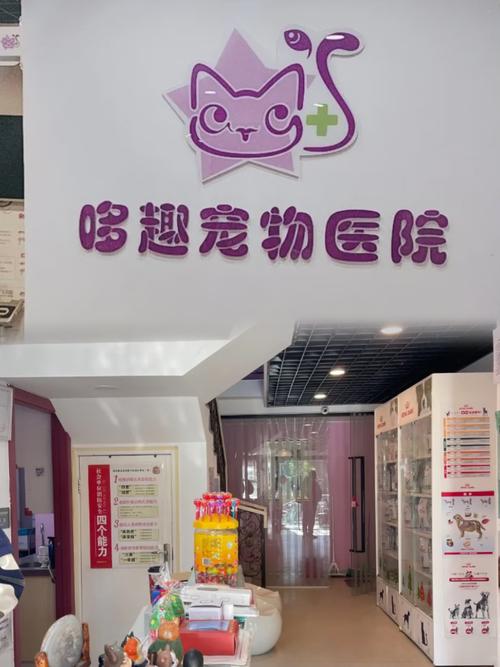 哆趣视频截图