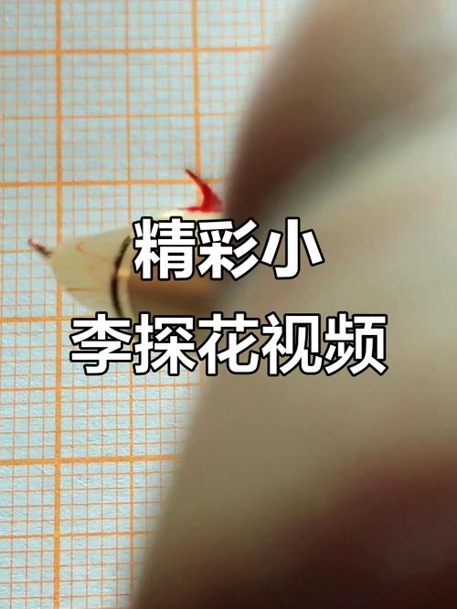 探花视频