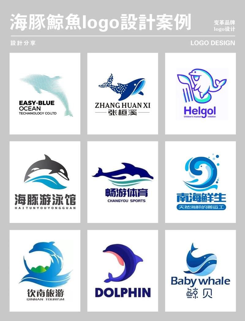 海豚视频