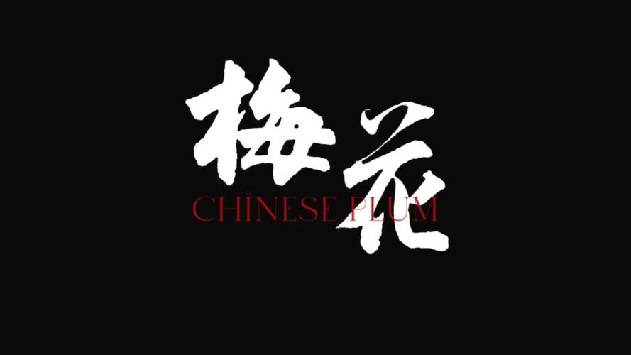梅花视频旧版图标