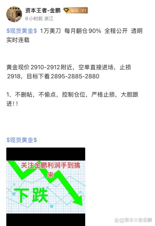 金鹏转发