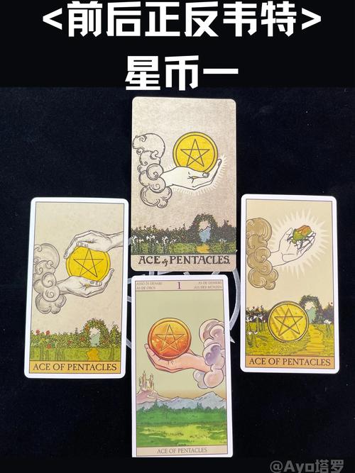 BitSG币星