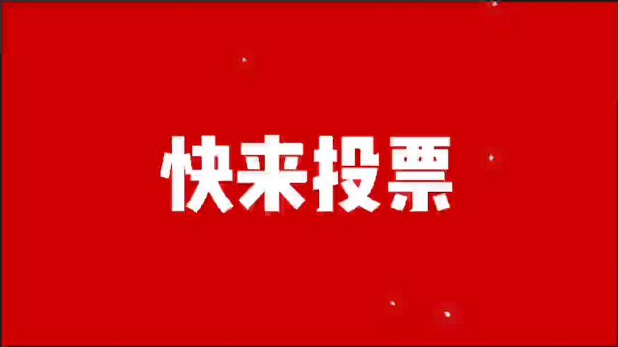 天天投票截图