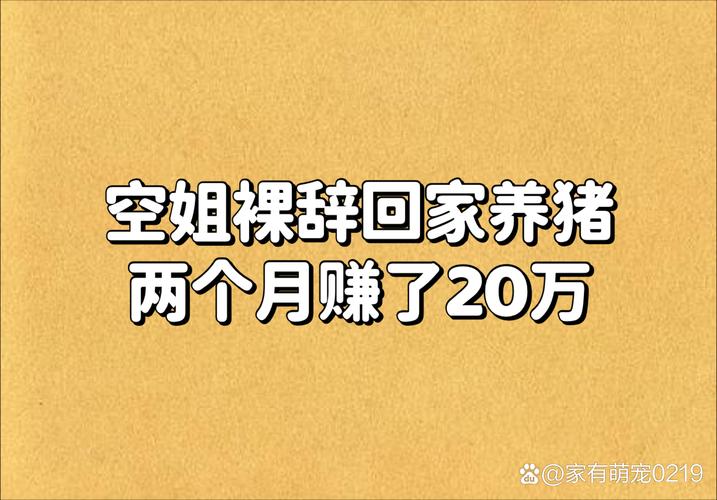 辞职去养猪红包版截图