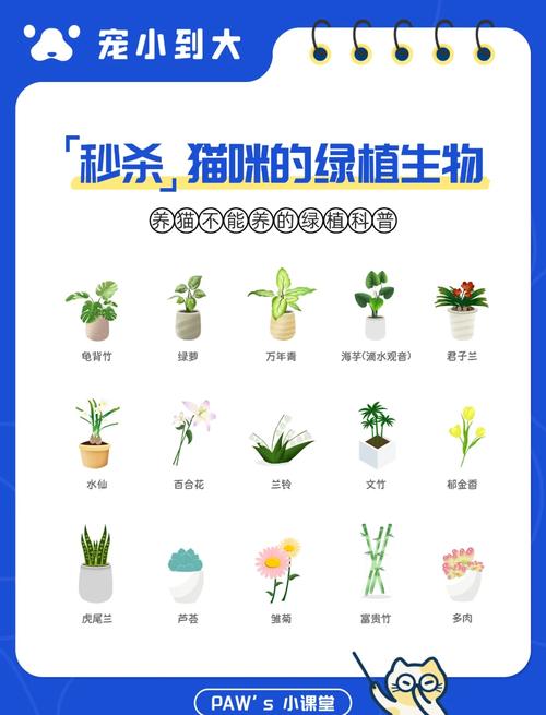 绿萝资讯赚钱版