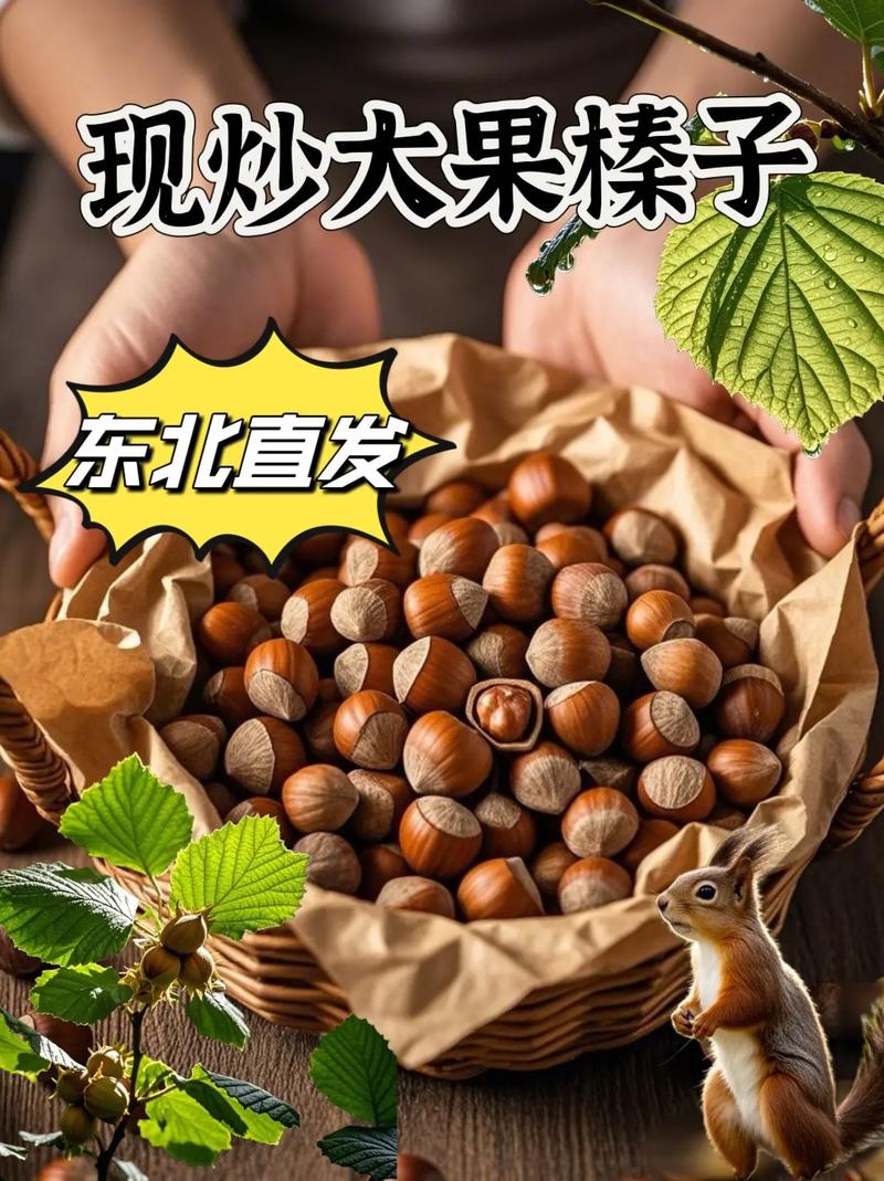 榛子资讯