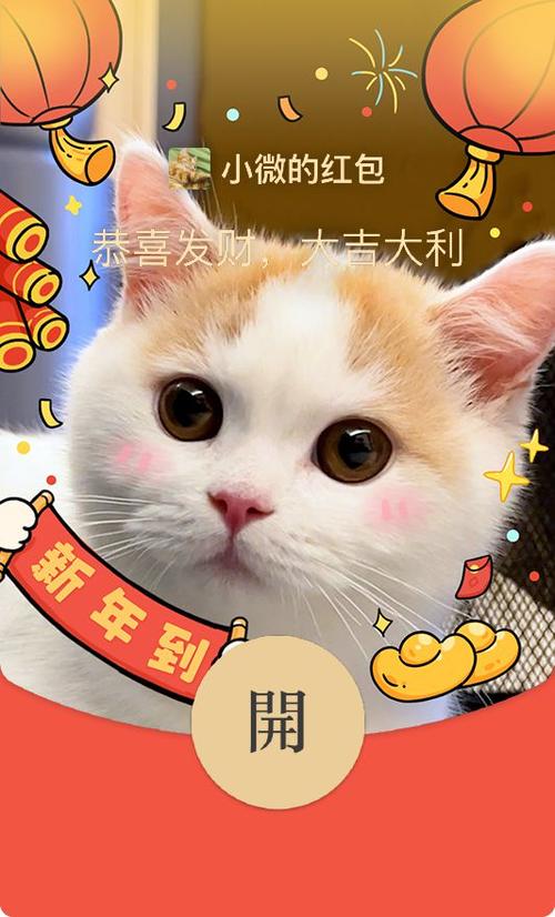 养只猫咪红包版图标