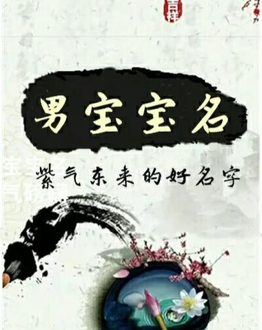 五格姓名测试app安卓版