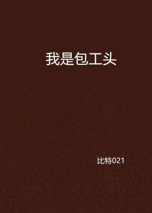 我是包工头100截图