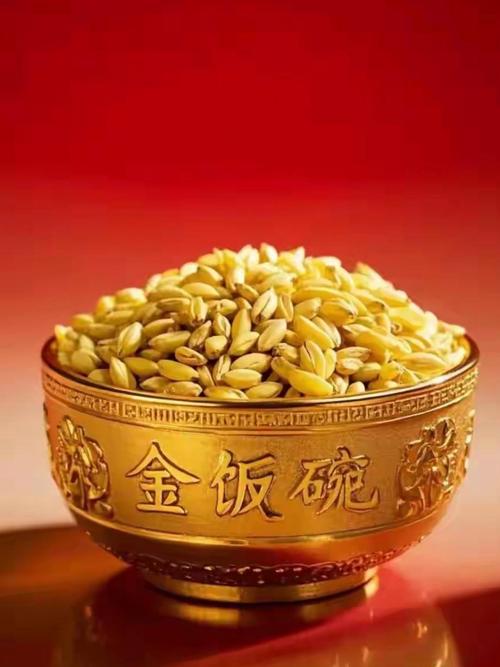 金饭碗赚钱版截图