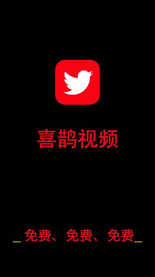 喜鹊网app官网版