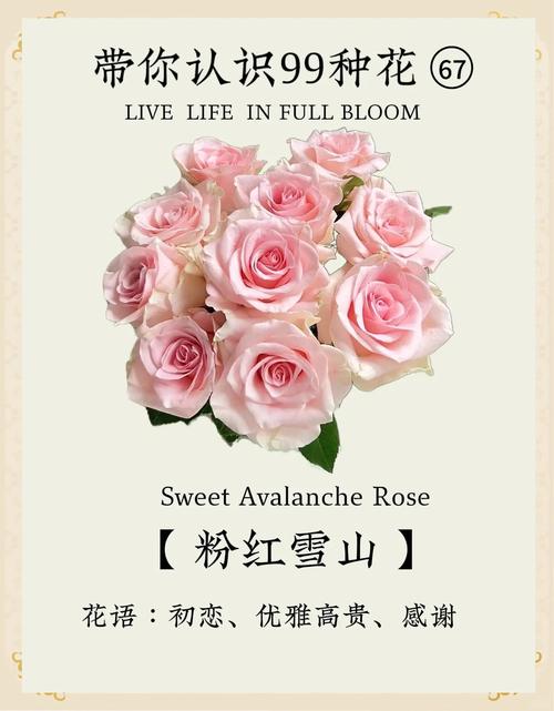 花色花语app