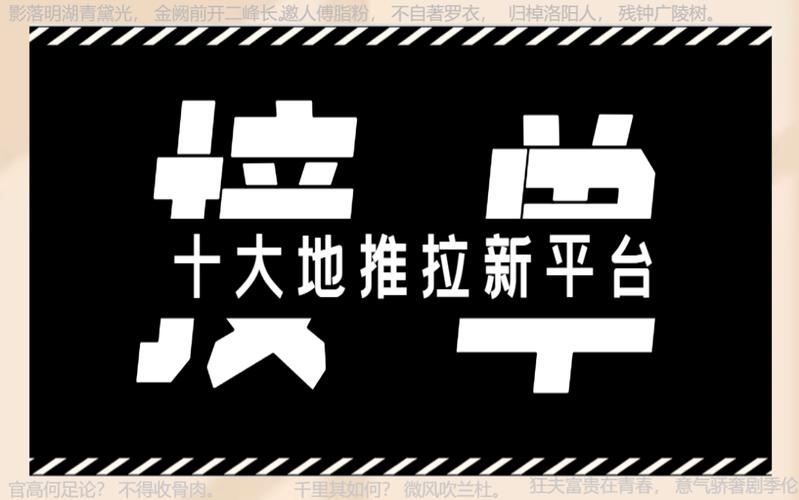 推客符接单平台v图标